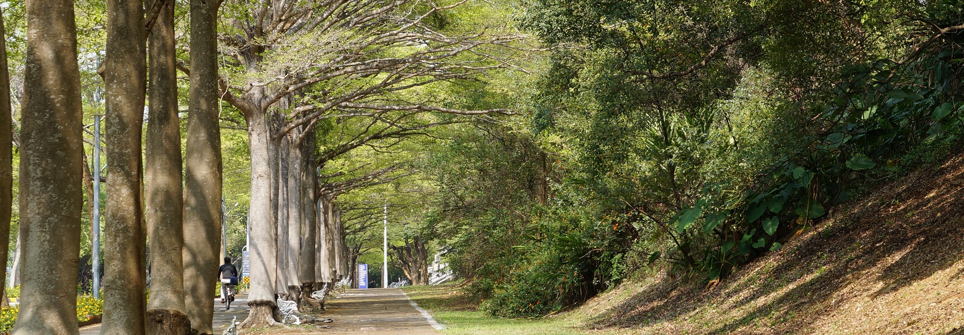 Department of Chemical Engineering,CCU
